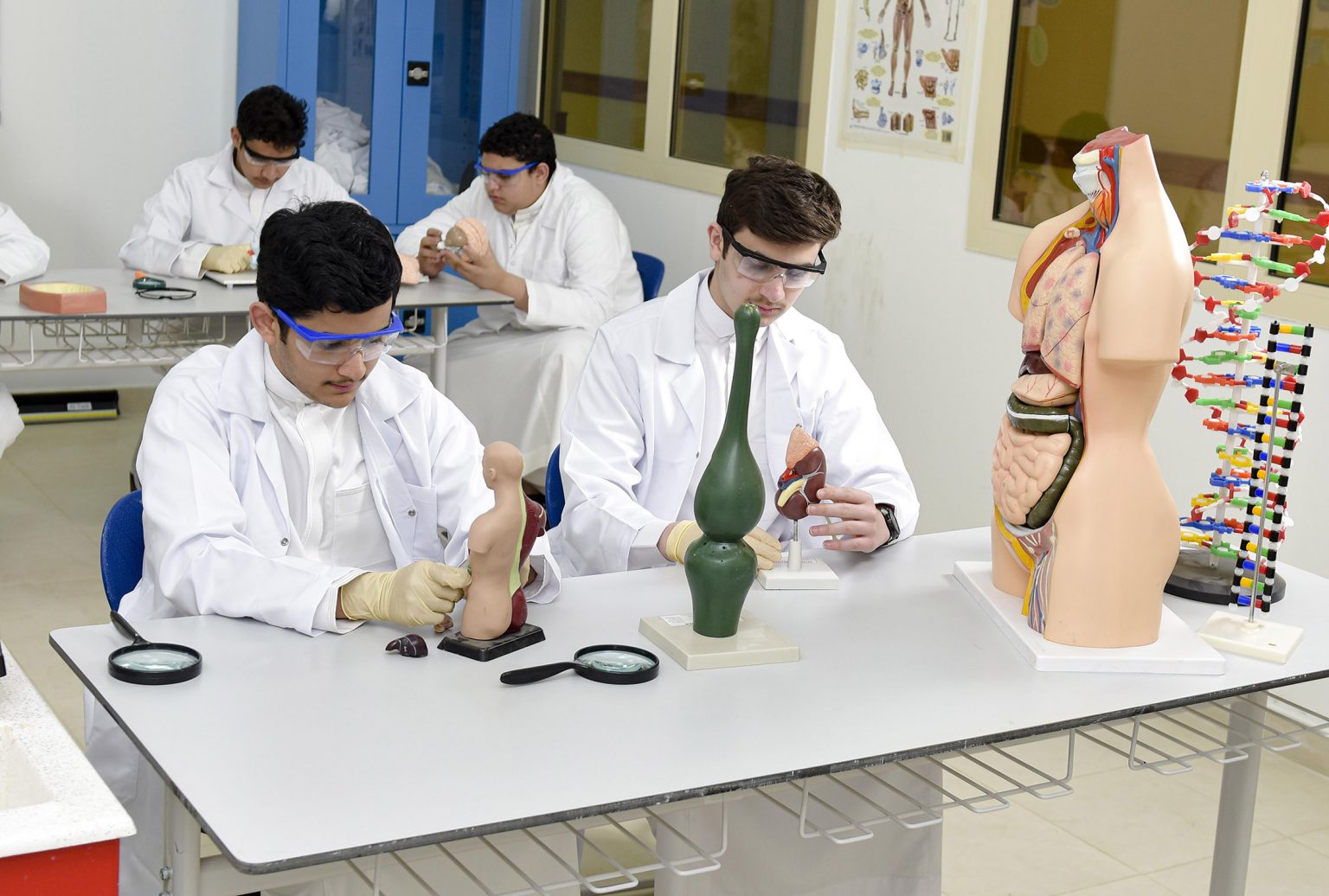 About DP – King Abdulaziz School